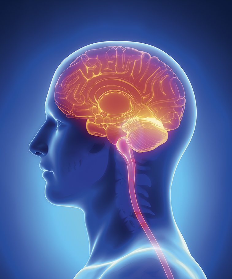 Zázračné dielo mozog - Ženské veci